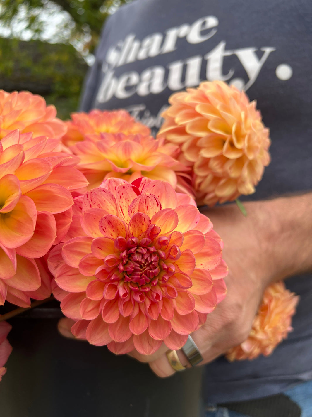 Dahlia Tubers – Triple Wren Farms Canada