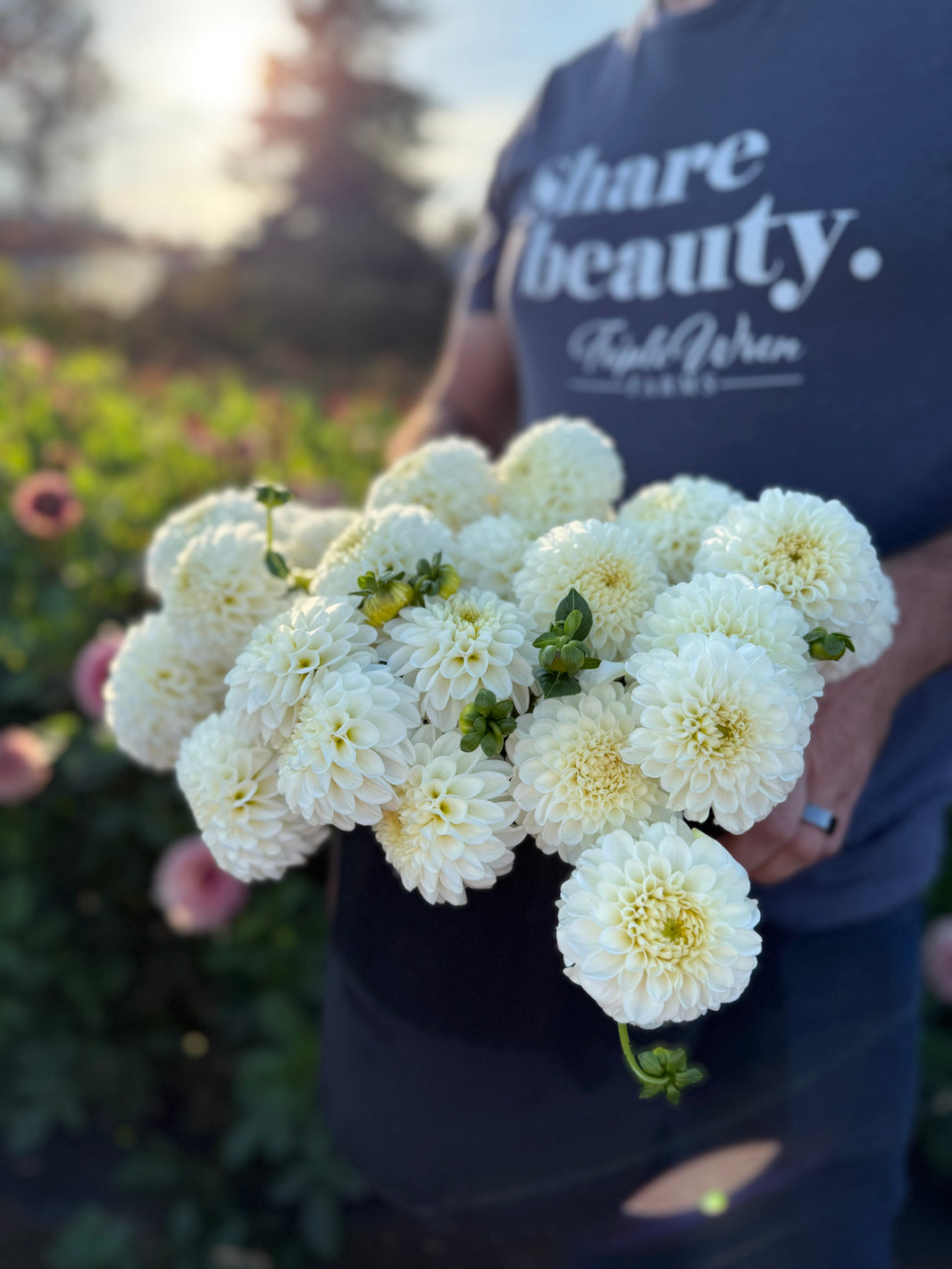Dahlia Tubers – Triple Wren Farms Canada