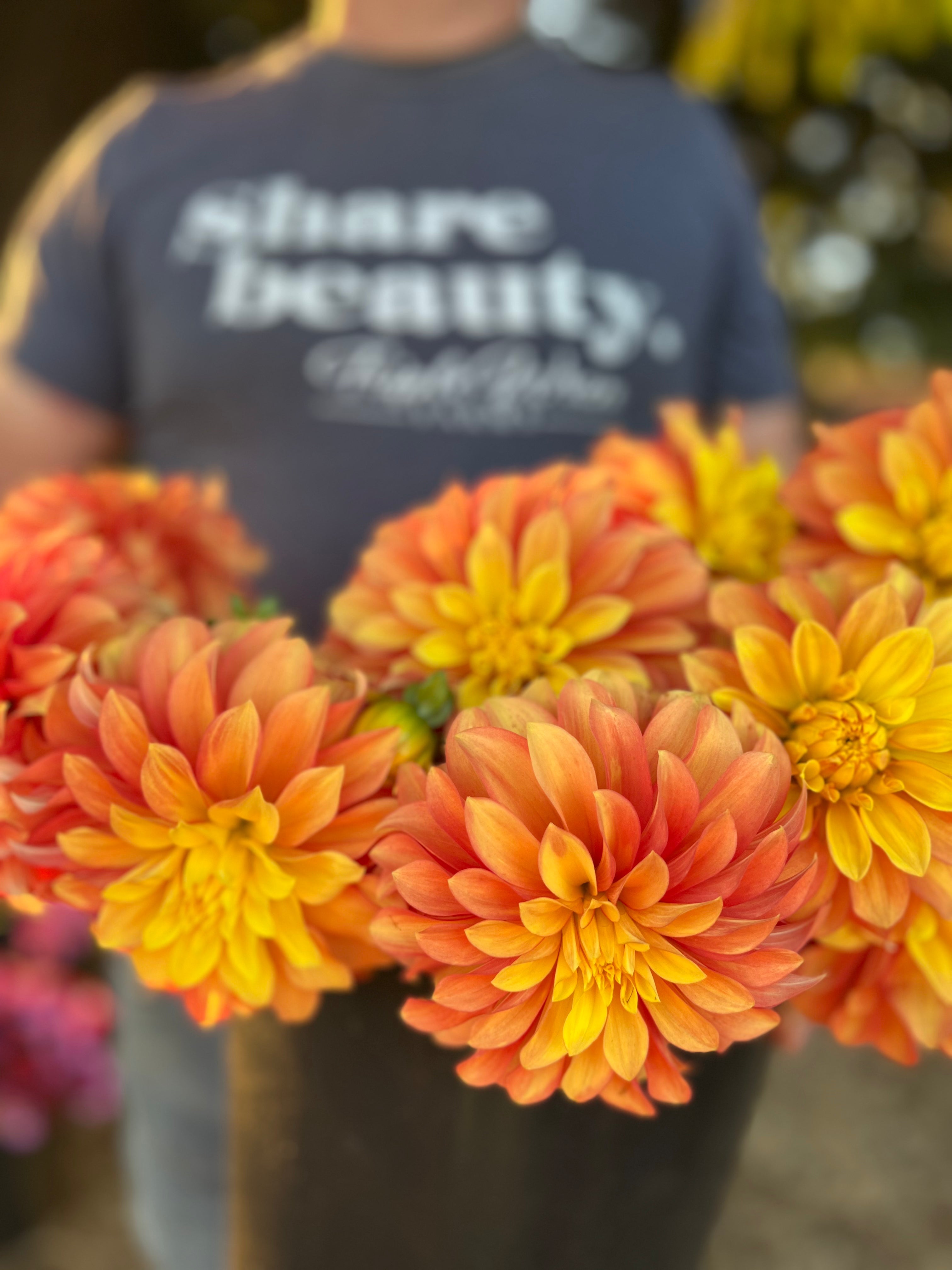 Salish Glory Be Dahlia Tuber – Triple Wren Farms Canada